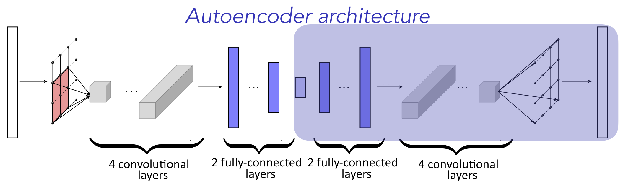 Model reduction of dynamical systems on nonlinear manifolds using deep convolutional ...